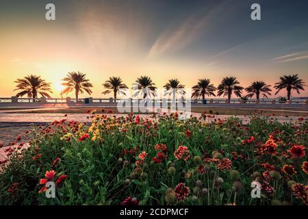 A park at Al Khobar in Dammam Metropolitan Area or Greater Dammam ...