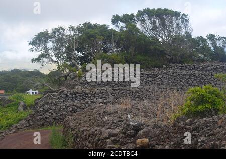 Maroiços, also known as the “Azores pyramids”, a unique kind of ...
