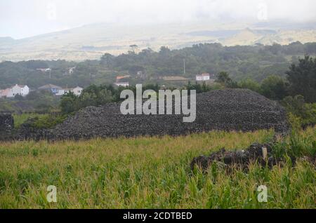 Maroiços, also known as the “Azores pyramids”, a unique kind of ...