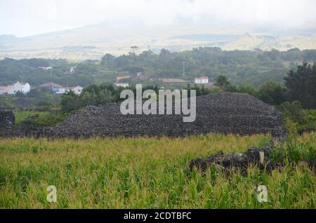 Maroiços, also known as the “Azores pyramids”, a unique kind of ...