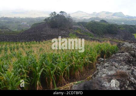 Maroiços, also known as the “Azores pyramids”, a unique kind of ...