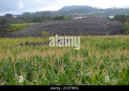 Maroiços, also known as the “Azores pyramids”, a unique kind of ...