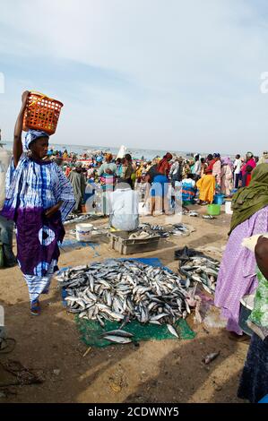 Senegal, Mbour fish harbour on the "petite cote" (small coast Stock ...