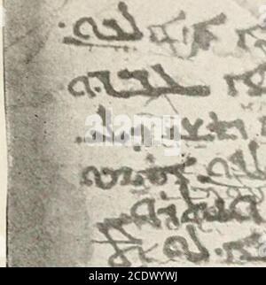 Codex claromontanus greek Stock Photo - Alamy