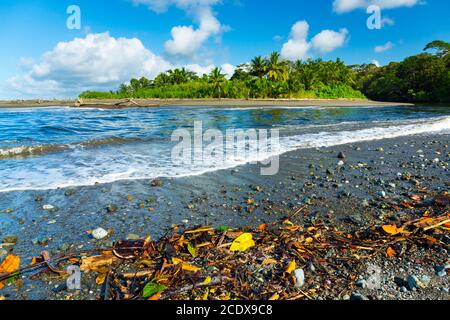 American Pacific coastline, Estacion Sirena, Corcovado National Park ...