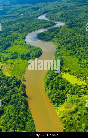 Aerial view of Delta Sierpe River Terraba, Corcovado National Park, Osa ...