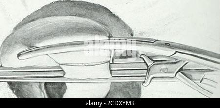 . Annals of surgery . RICHARD LEWISOHN Stock Photo - Alamy
