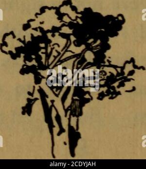 . The ephebic oath . LABOCANAJ Stock Photo - Alamy