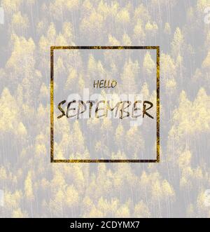 HOLIDAY text written on yellow-black grungy stamp sign Stock Photo - Alamy