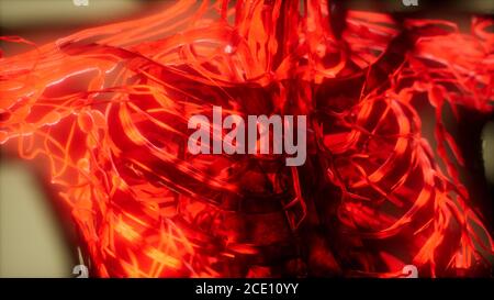 Inspection of blood in the blood vessels of the circulatory system ...