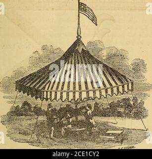 Cut Low Stumps Stock Photo - Alamy