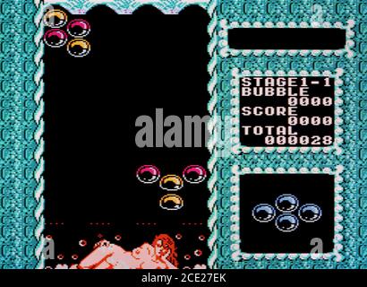 Bubble Bath Babes - Nintendo Entertainment System - NES Videogame ...