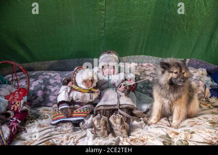 Two Nenets childs in traditional wear with a samoyed dog inside a chum ...
