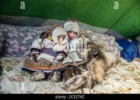 Two Nenets childs in traditional wear with a samoyed dog inside a chum ...
