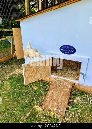 Last one in is a rotten egg Stock Photo - Alamy
