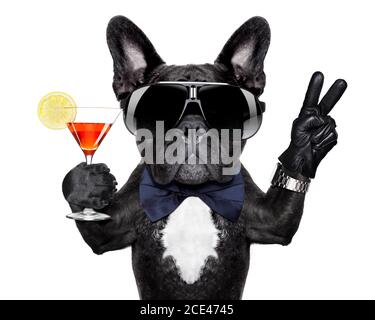 peace cocktail dog Stock Photo - Alamy