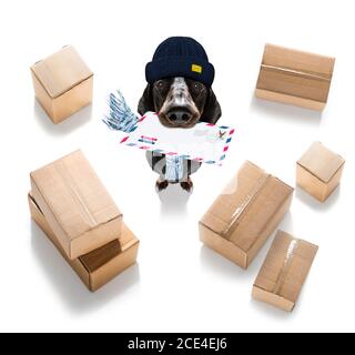 Dog mail deliver postal post man Stock Photo - Alamy