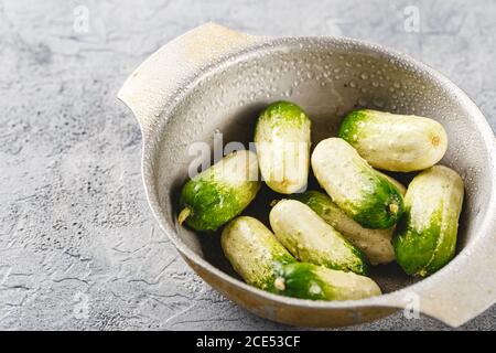 Baby cucumber on gray background Stock Photo - Alamy