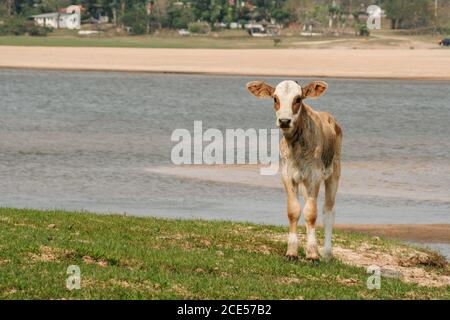 Villa Florida, Paraguay. 9th September, 2007. A general view of twisted ...