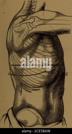 . A manual of auscultation and percussion : embracing the physical ...