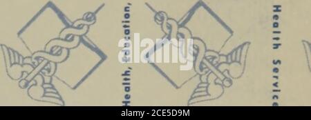 . Outlines of the nerves : with short descriptions : designed for the ...