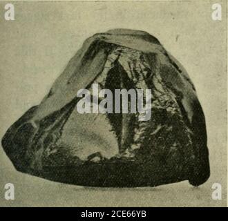 . Description of the test specimen of the rostro-carinate industry ...