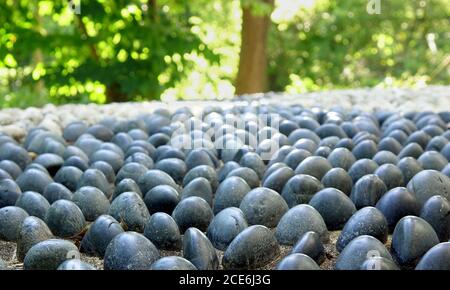 Chinese health walk made up from large pebbles in different colors ...