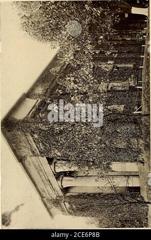 Miss Margaret Andrews Stock Photo - Alamy