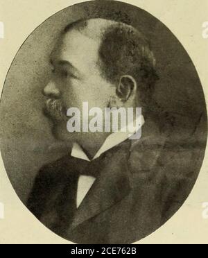 . The National Civic Federation review . DR. LILIAN W. JOHNSON MRS ...