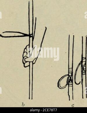 . Greek athletic sports and festivals . the amentum. From the sixth ...