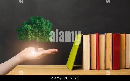 The concept of a book or a tree of knowledge with a tree growing from ...