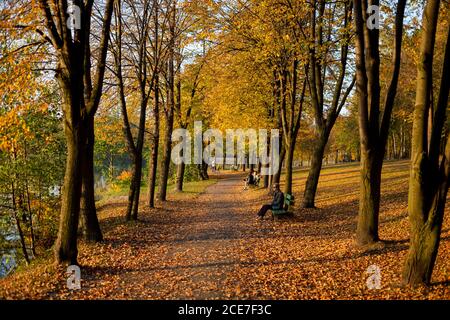 Katowice, Poland. 12th October, 2018. A old couple is seen walking in ...