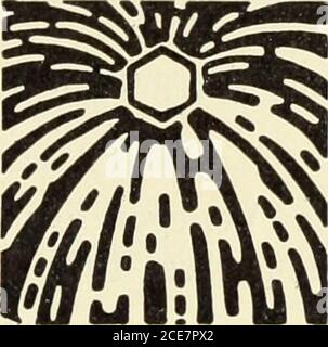 . Ernst Neumann . 3 3125 00721 0889. Ernst Neumann von Hermann ...