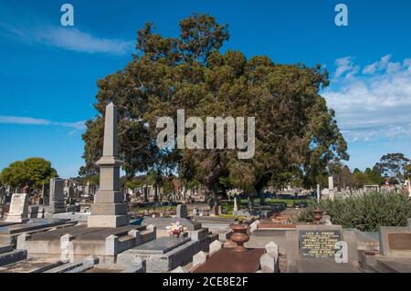 Established 1854, the garden-style Brighton General Cemetery is one of ...