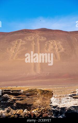 Candelabra Geoglyph and sea birds, Paracas Peninsula, Paracas National ...