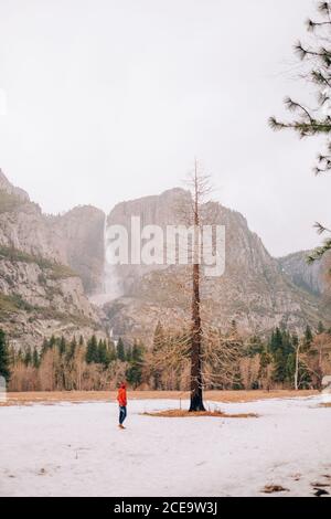 Beautiful shot of a lonely tree with mountains in the background in the ...