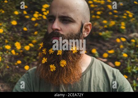 Thoughtful hairless bearded man with yellow flowers looking away in ...