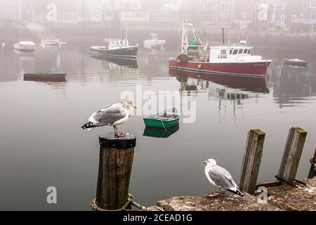 Fishing boats in the harbor of Rockport at sunrise with fishing shack ...