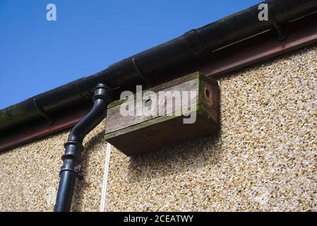 Bird box under gutter on a a roughcast wall at the corner of a house ...