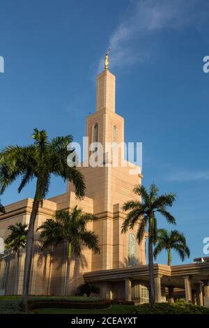 Palm trees in Santo Domingo, Dominican Republic Stock Photo - Alamy