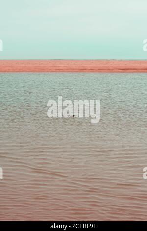 Flip flop floating in sea Stock Photo - Alamy