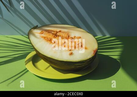 Half Melon toad skin, Colorful summer theme. in blue and green ...