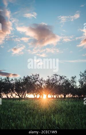 picturesque green field and blue sky Stock Photo - Alamy