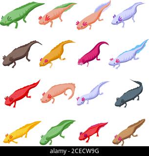 Axolotl icons set. Isometric set of axolotl vector icons for web design isolated on white ...