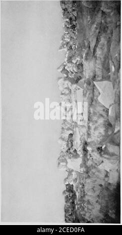 . The last voyage of the Karluk, flagship of Vilhjalmar Stefansson's ...