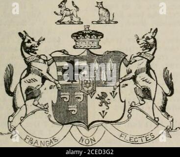 Jane Elizabeth (Coke) Viscountess Andover Wife of Charles Howard ...