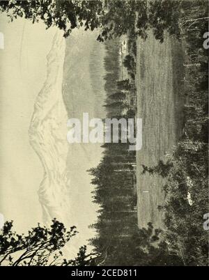 . The poetical works of Edward Rowland Sill. THE POETICAL WORKS OF ...