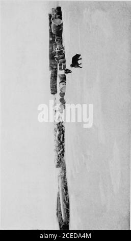 . The last voyage of the Karluk, flagship of Vilhjalmar Stefansson's ...