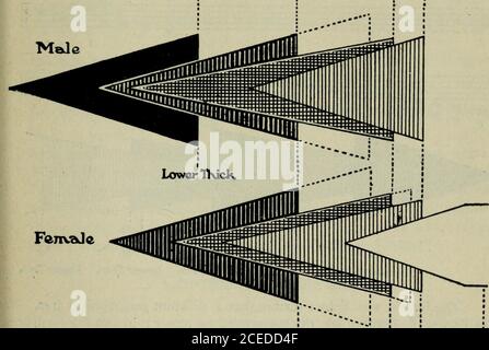 . How to sing : a complete treatise on singing with practical ...