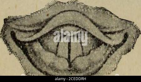 . How to sing : a complete treatise on singing with practical ...